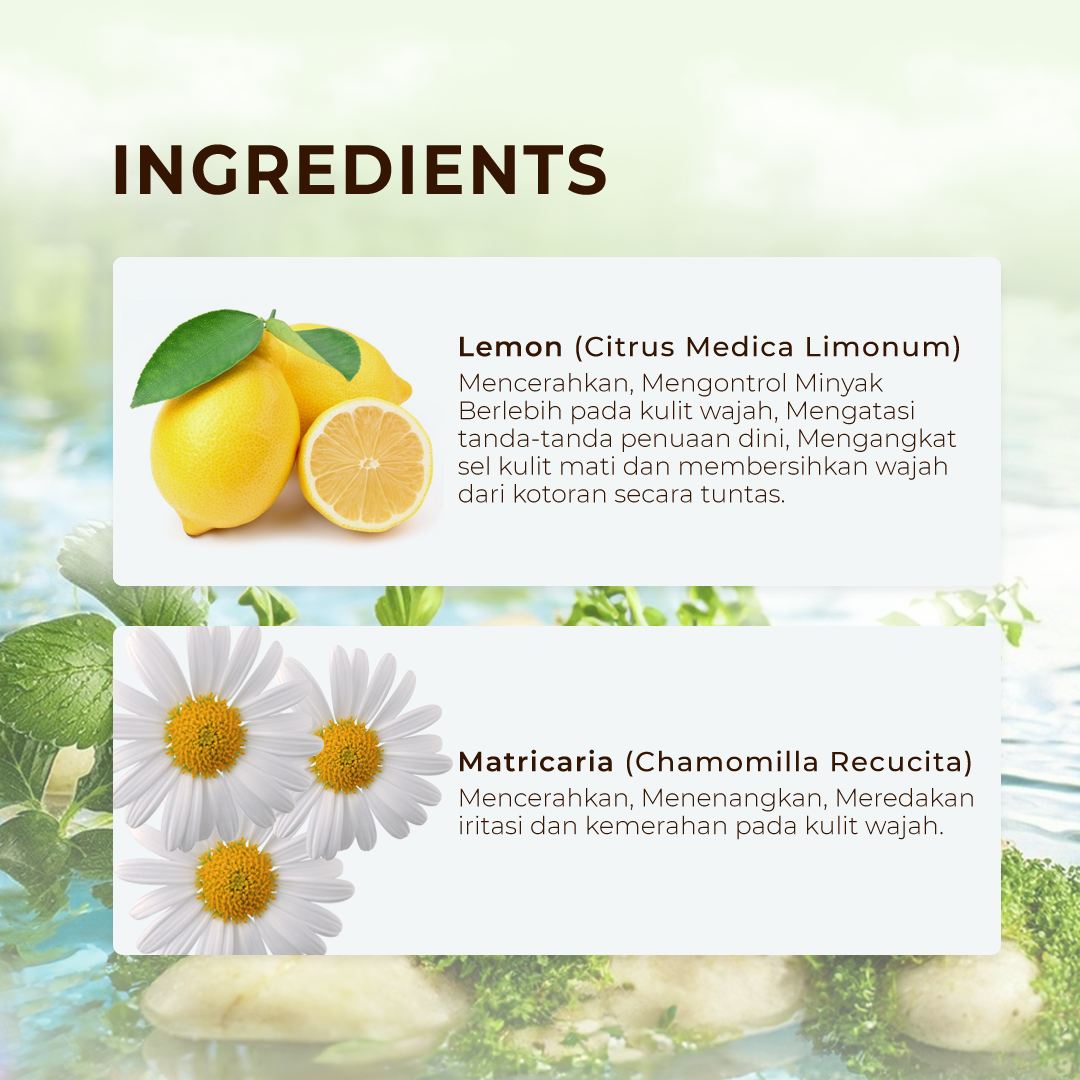 Day Oily Control Set – Tull Jye